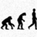 Human evolution - Online game MoFunZone